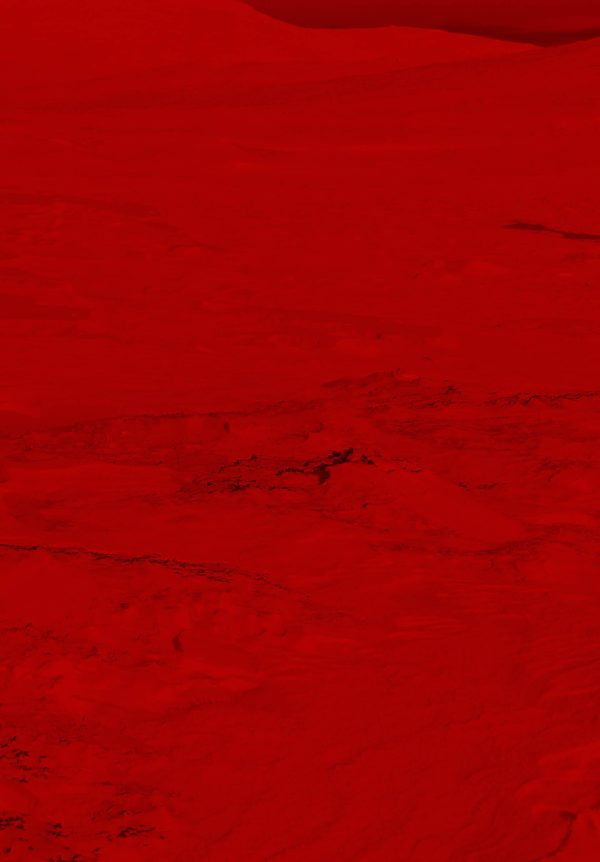 Nvizn™ - Vehicle LED Identification Displays - Driver Industrial Safety™